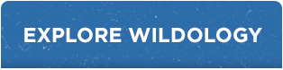 Home - Wildology