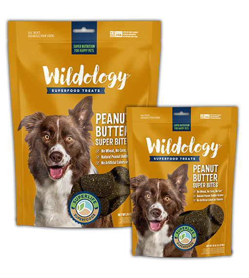 Peanut Butter Bites - Wildology